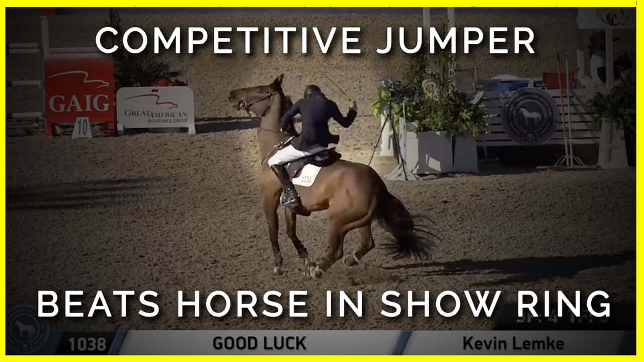 Criminal Charges Sought After Show Jumper Beats Horse | PETA