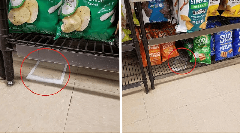 Cruel Traps Reportedly Threaten Rodents at NYC Grocery Store! | PETA