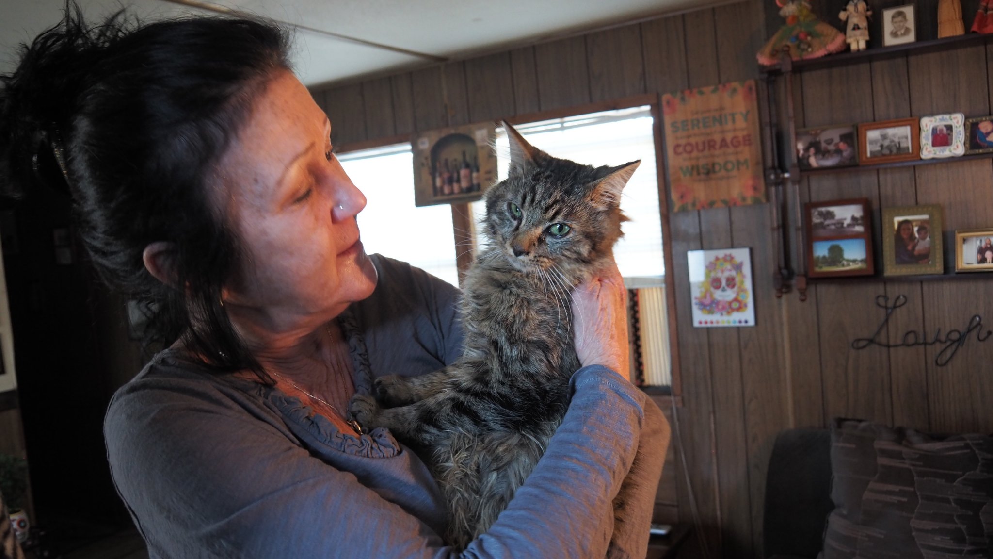 With PETA’s Fieldworkers, Every ‘Princess’ Gets the Royal Treatment | PETA