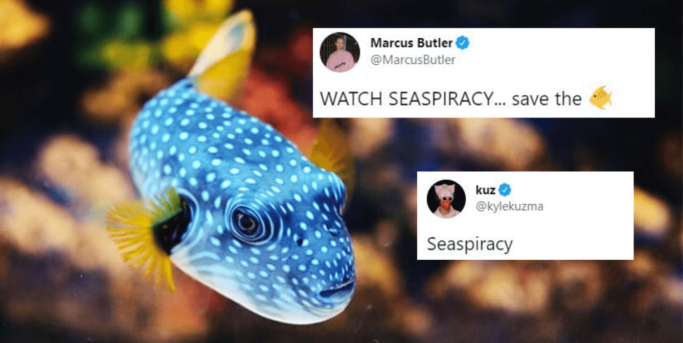 Celebs Can’t Stop Talking About Netflix Hit ‘Seaspiracy’ | PETA