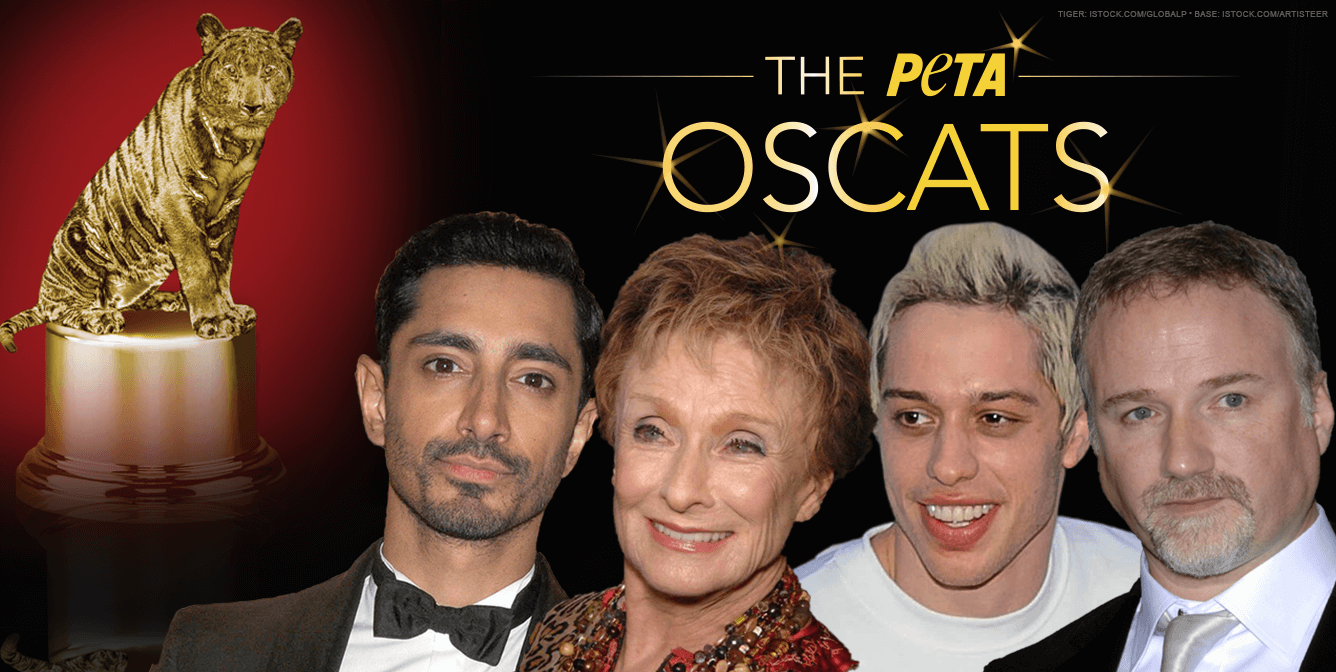 PETA’s Oscats Honor Animal-Friendly Films and Stars of 2020 | PETA