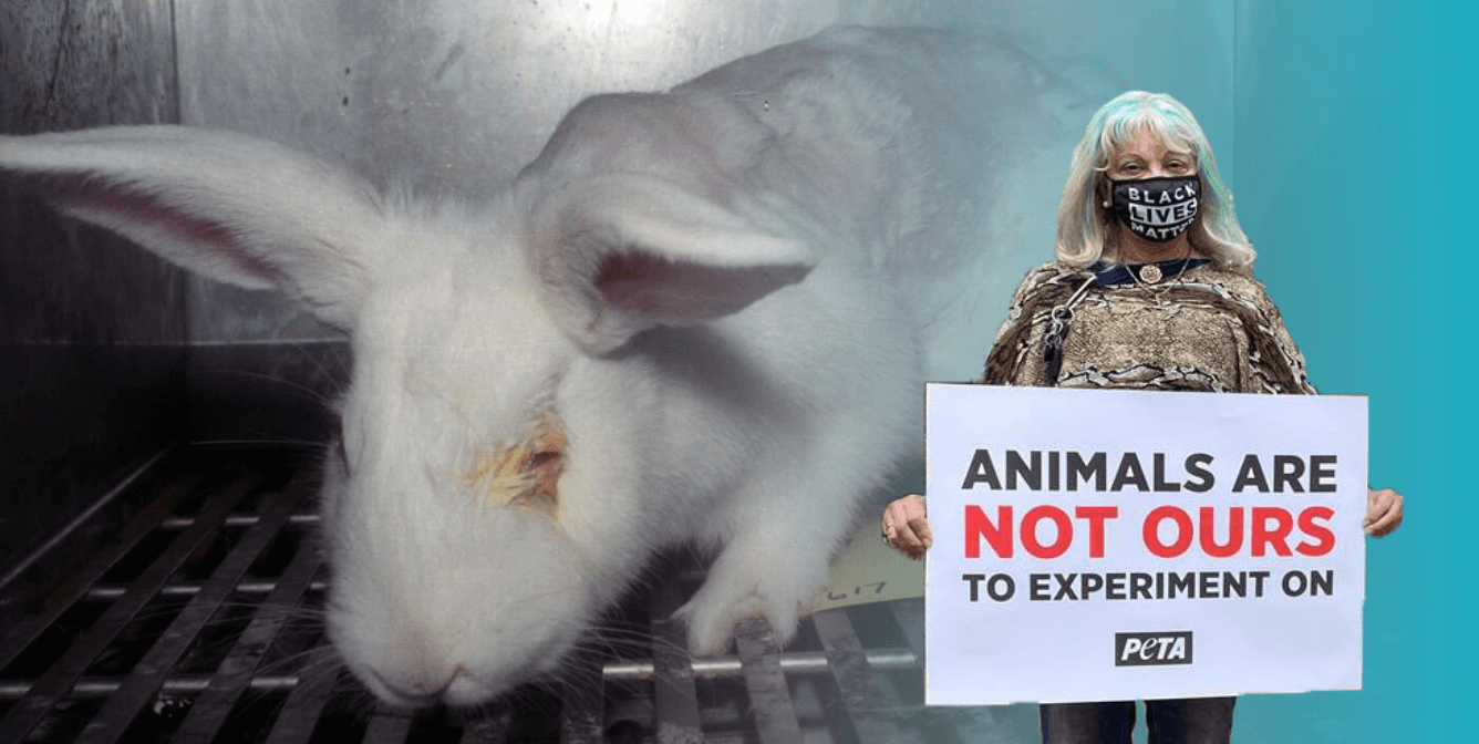 Viral Experiments on Animals Highlight a Cruelty Epidemic in Tax-Funded ...