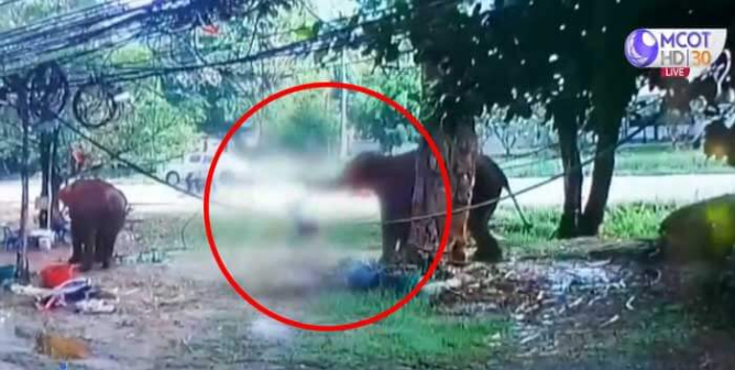 Real Paranormal Animals