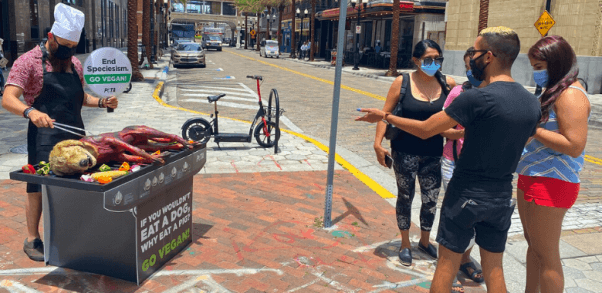 Pig or Pup? PETA to Point Out That There’s No Difference by ‘Barbecuing ...