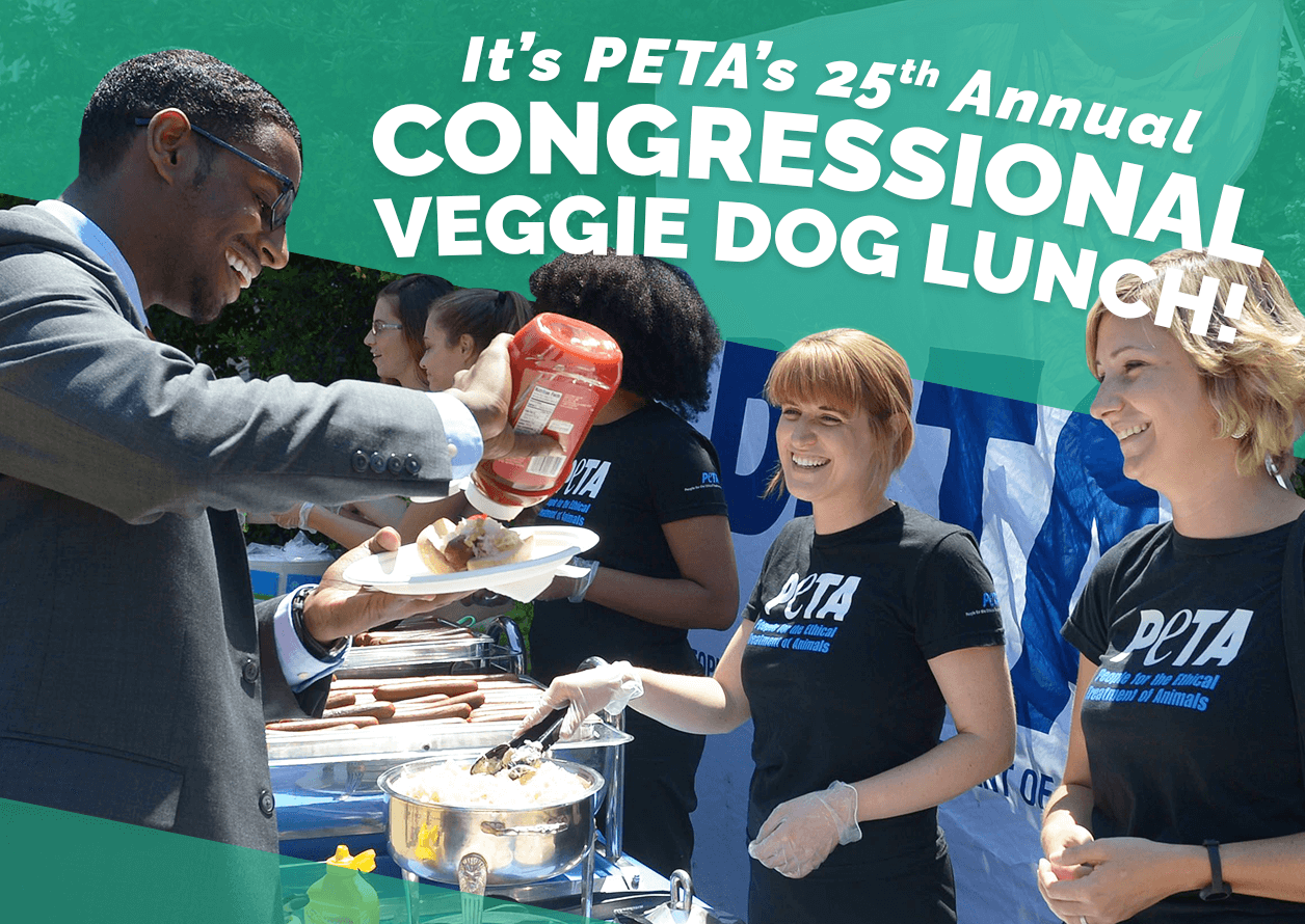 Our Congressional Veggie Dog Lunch Turns 25! | PETA