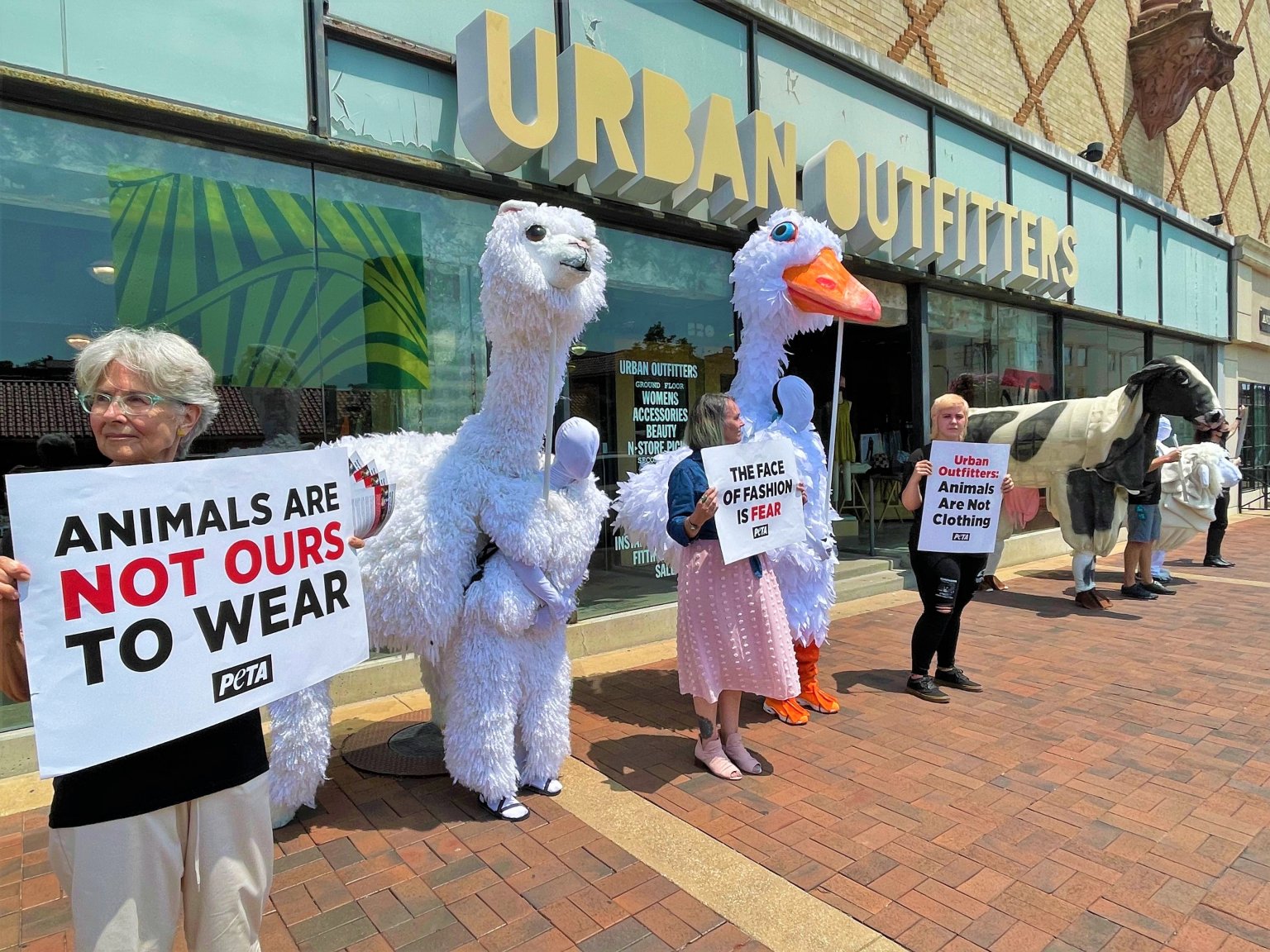 Take Action for Animals in 15 Minutes or Less! | PETA