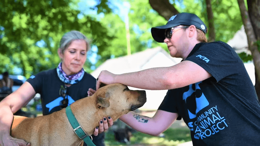 ‘How to’ Video: Pro Tips for Helping ‘Backyard Dogs’ | PETA