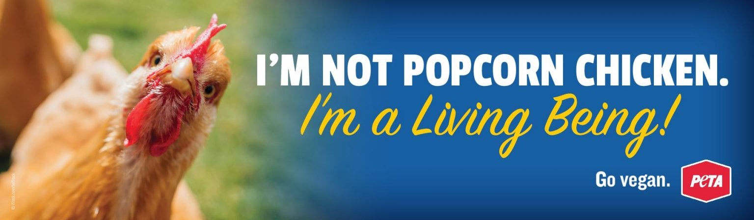 Judge Rules LA Metro Must Pay PETA More Than $250,000 in First ...
