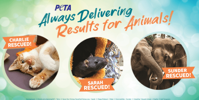 People for the Ethical Treatment of Animals (PETA)