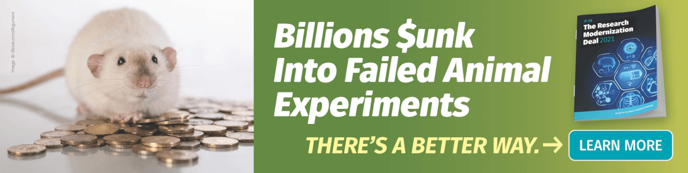 Billions $unk Into Failed Animal Experiments – Vegan-News.net