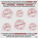 There’s No Such Thing as ‘Humane Meat’ | PETA