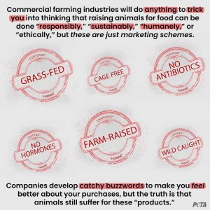 There’s No Such Thing as ‘Humane Meat’ | PETA