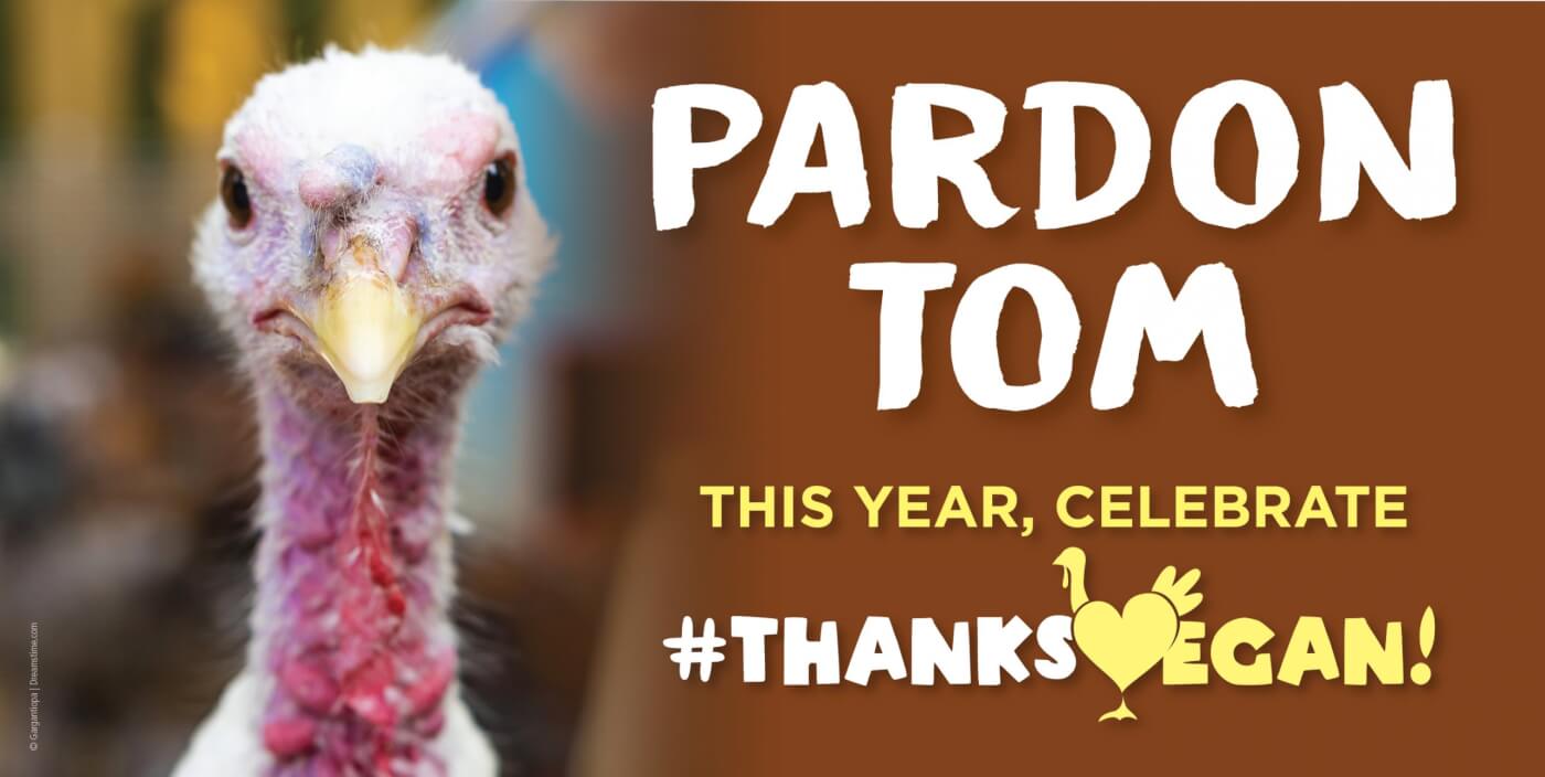 PETA to Trump: Make Thanksgiving Great Again—With A Potato and Soybean ...