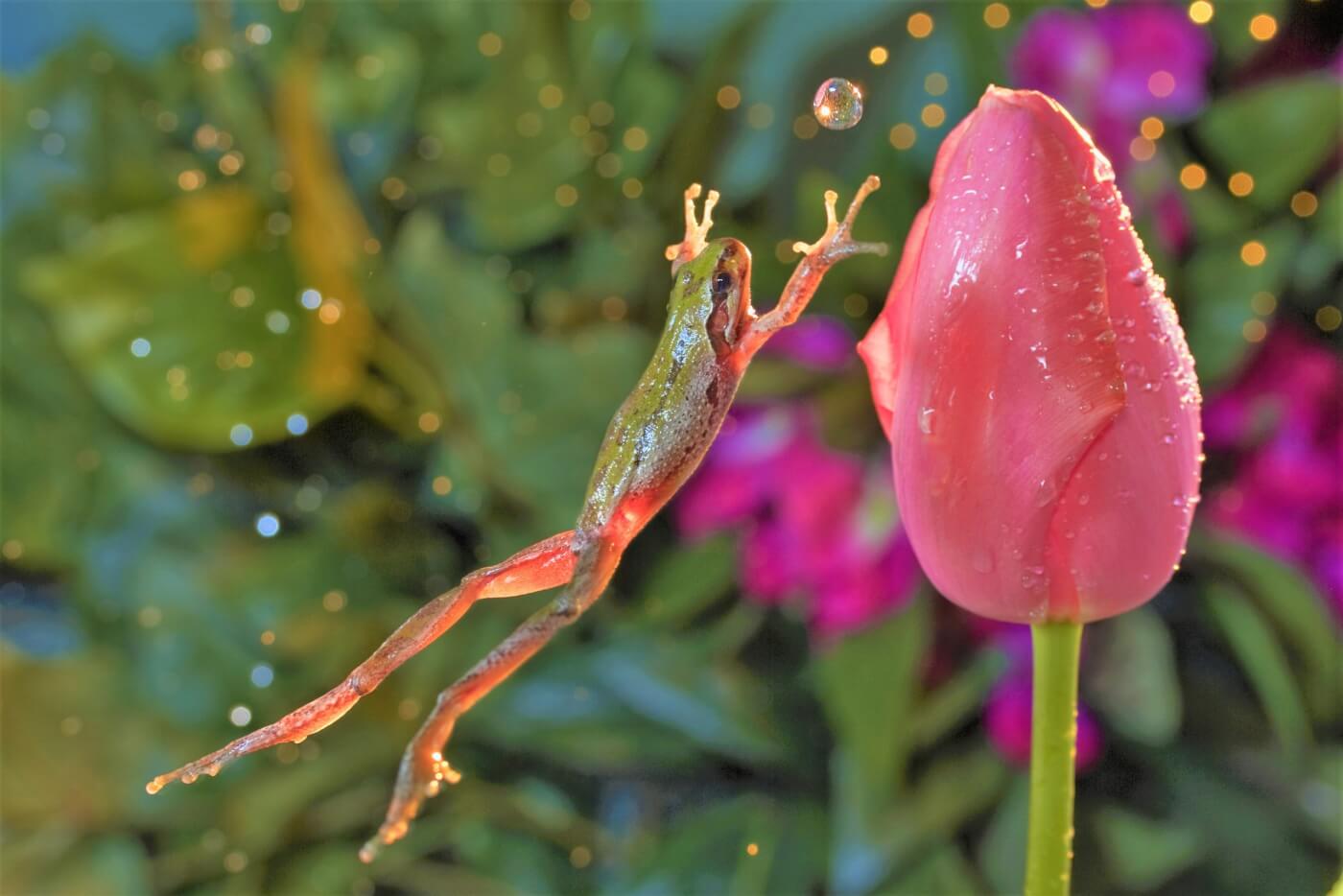 Students page 1 - PETA