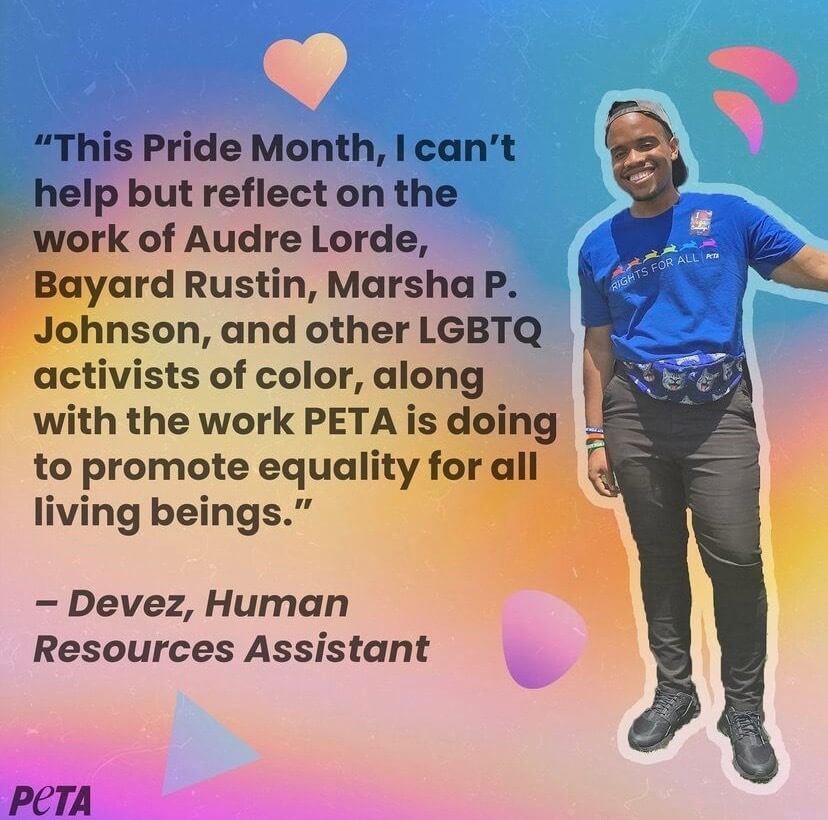 Celebrating LGBTQIA+ History Month: Animal Advocates | PETA
