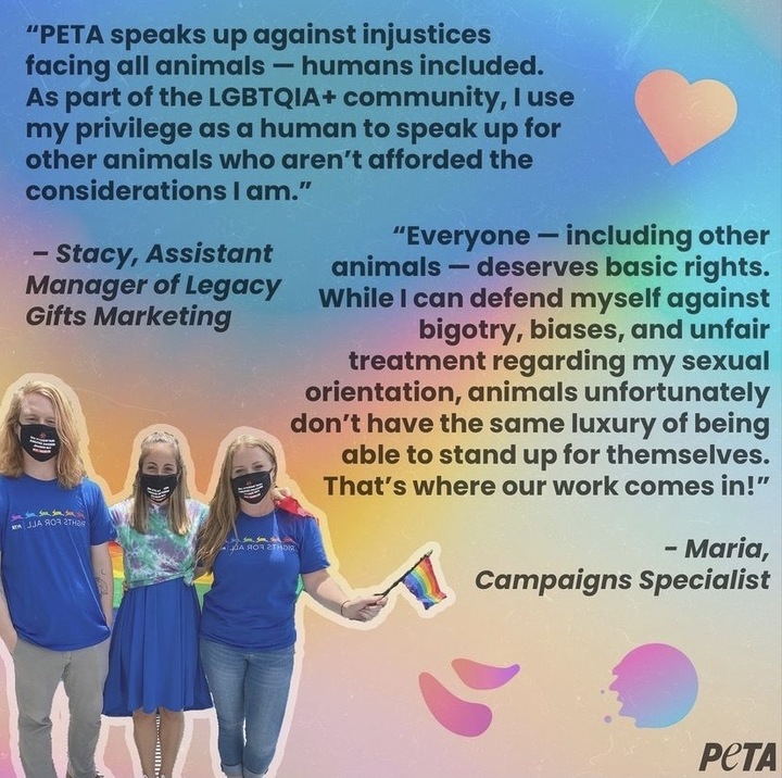 We’re Here, We’re Queer, and We Help Animals—PETA Honors Trailblazing ...