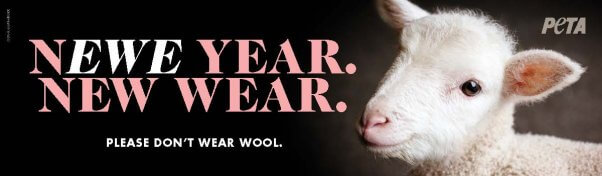 Victory! Tulsa Transit Reverses Ban on PETA’s ‘Controversial’ Pro-Vegan ...