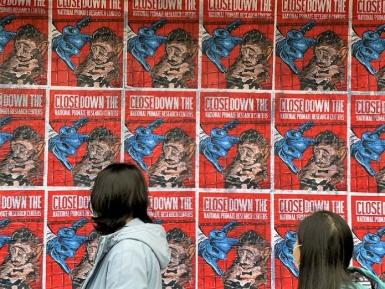 PETA Exposes More Unbridled Incompetence at Washington's Primate Prison ...