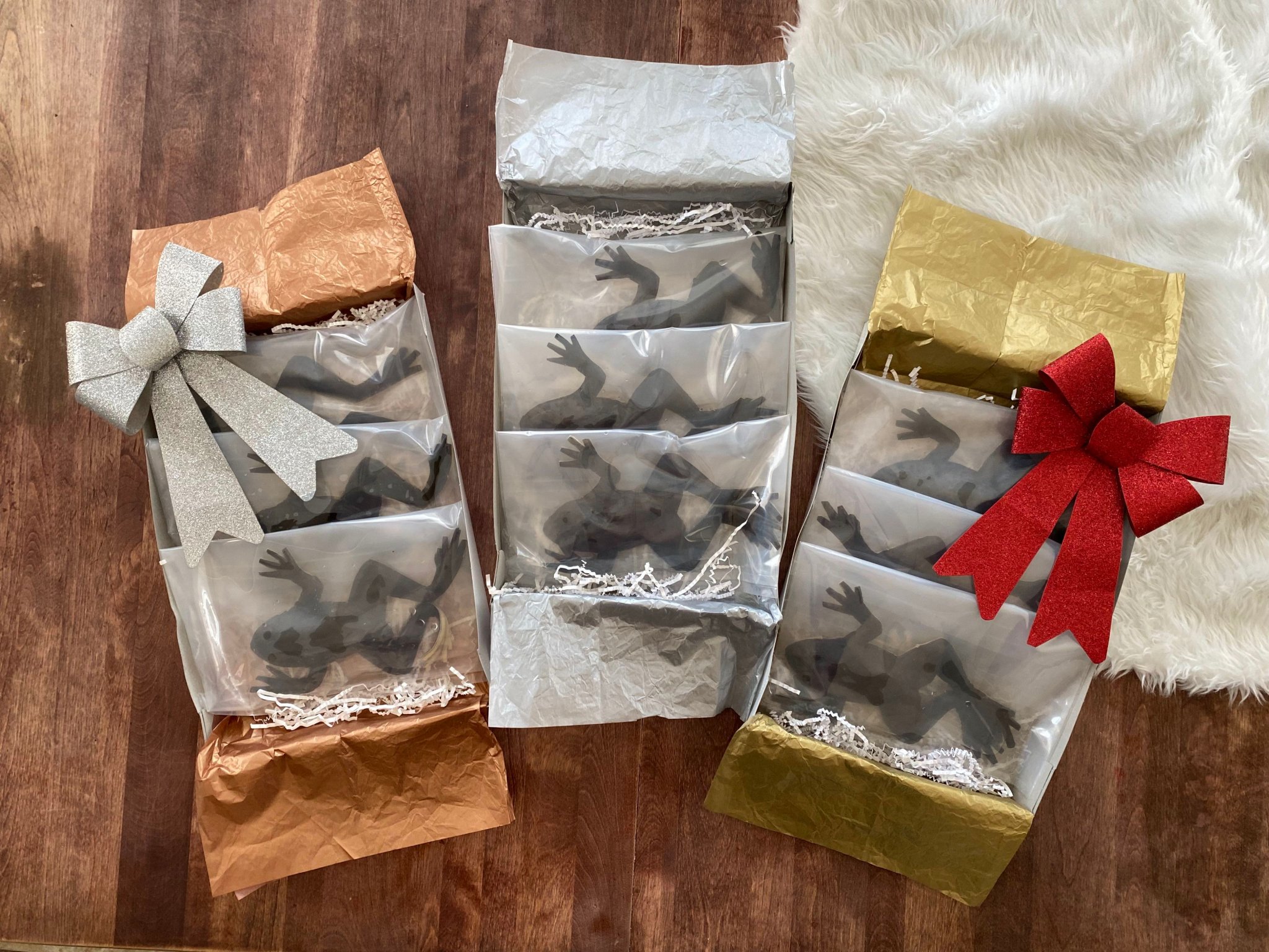 SynFrog Holiday Delivery - Rollings Middle School of the Arts | PETA