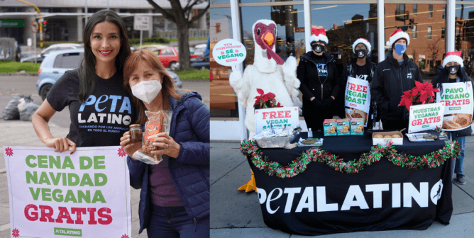 Factory Farming page 1 - PETA