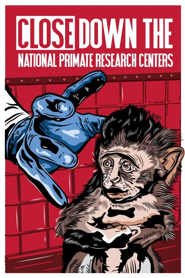 Be an Experimenter in PETA’s ‘Operation’ Game Spin-Off | PETA