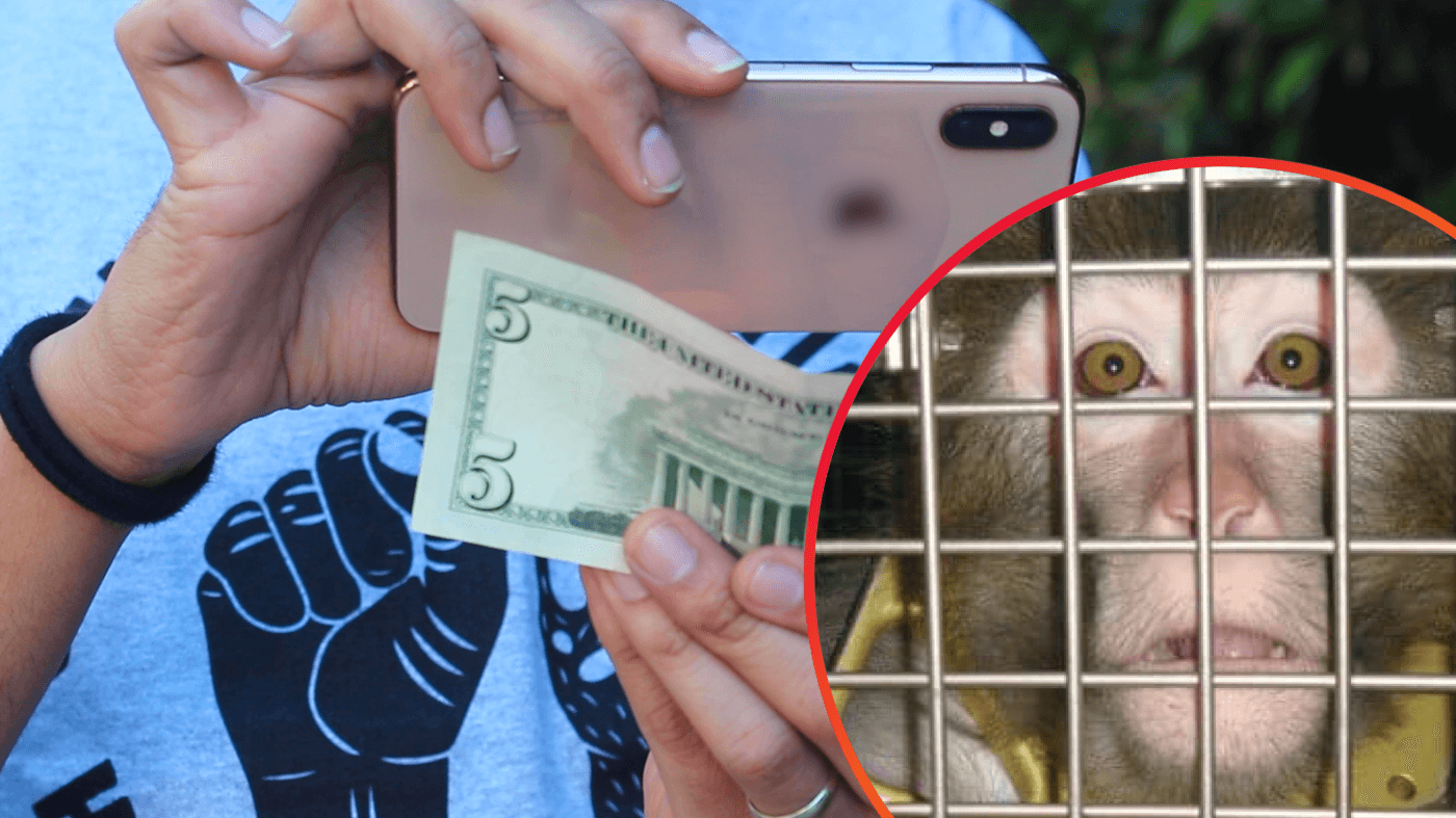 You’re Paying for Animal Testing—Scan a Dollar to See How | PETA