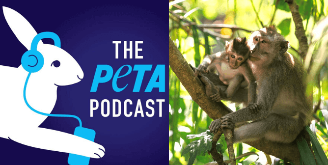 People for the Ethical Treatment of Animals (PETA)
