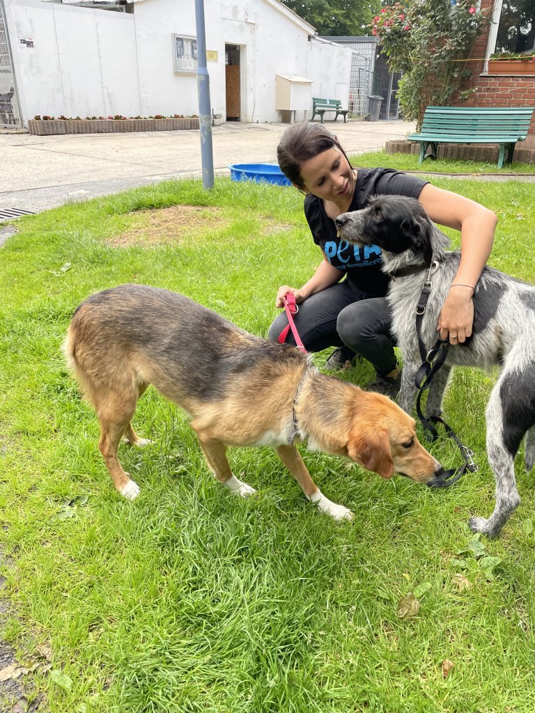 PETA Germany’s Latest Rescues From Ukraine | PETA