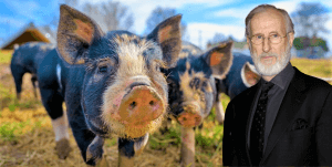 Campaign Updates: University of Tennessee College of Medicine | PETA