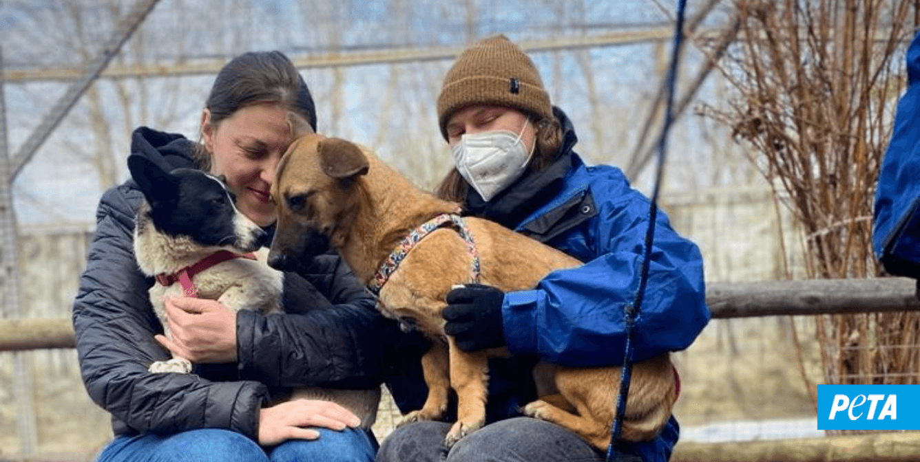 People for the Ethical Treatment of Animals (PETA)