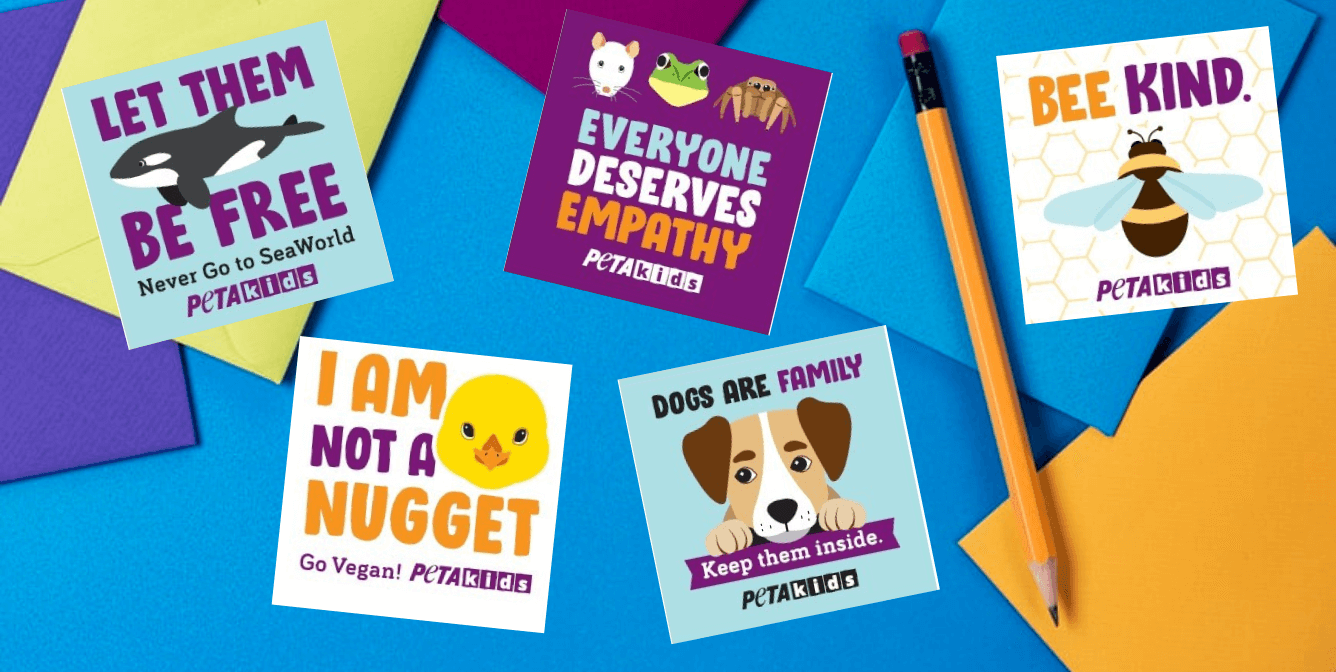 PETA Kids page 1 - PETA