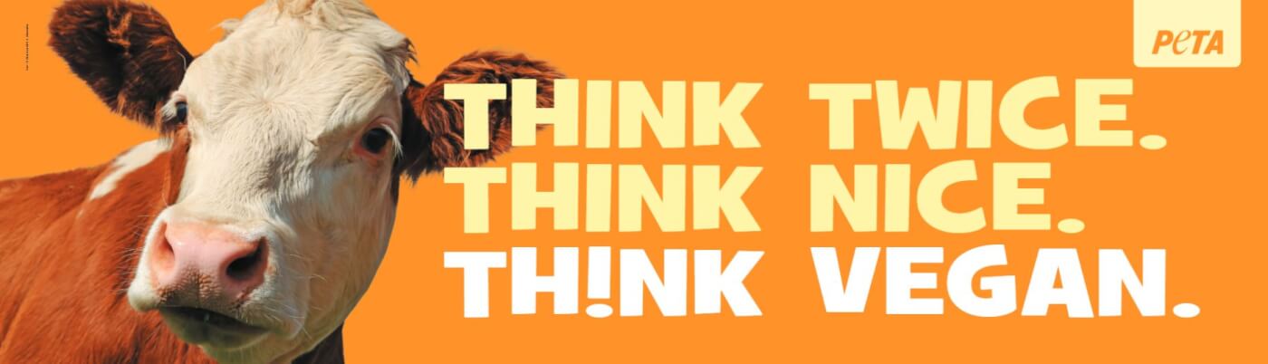 Think Twice. Think Nice. Think Vegan (Cow) – Vegan-News.net