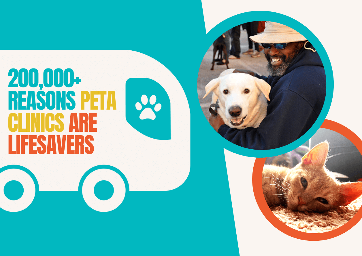 People for the Ethical Treatment of Animals (PETA)