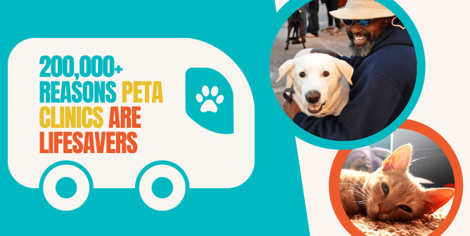 People for the Ethical Treatment of Animals (PETA)