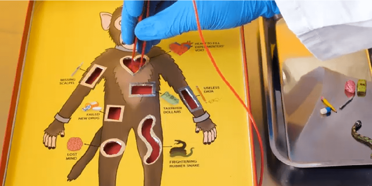 Operation Game: Vivisection Edition 0:60 | PETA