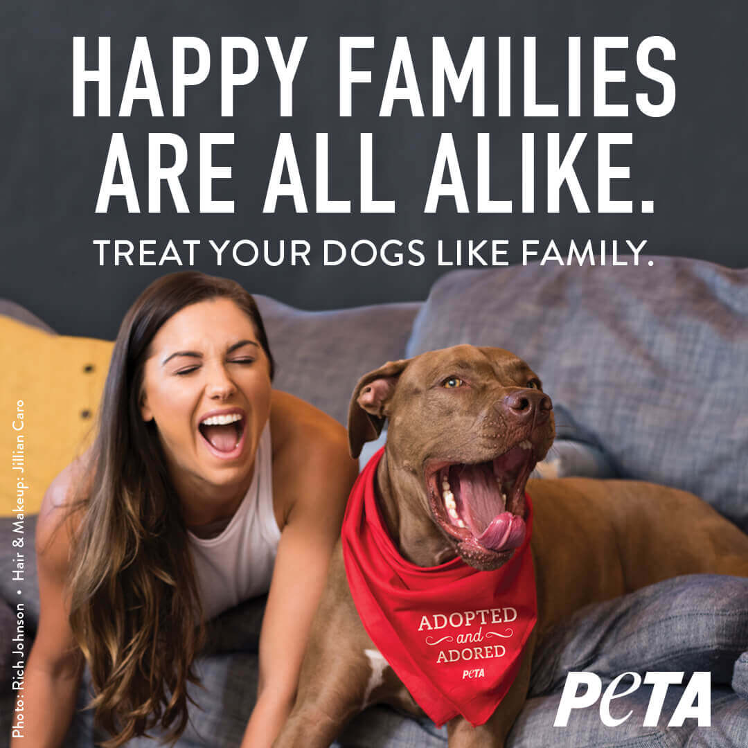 Print - PSAs - Media Center - PETA
