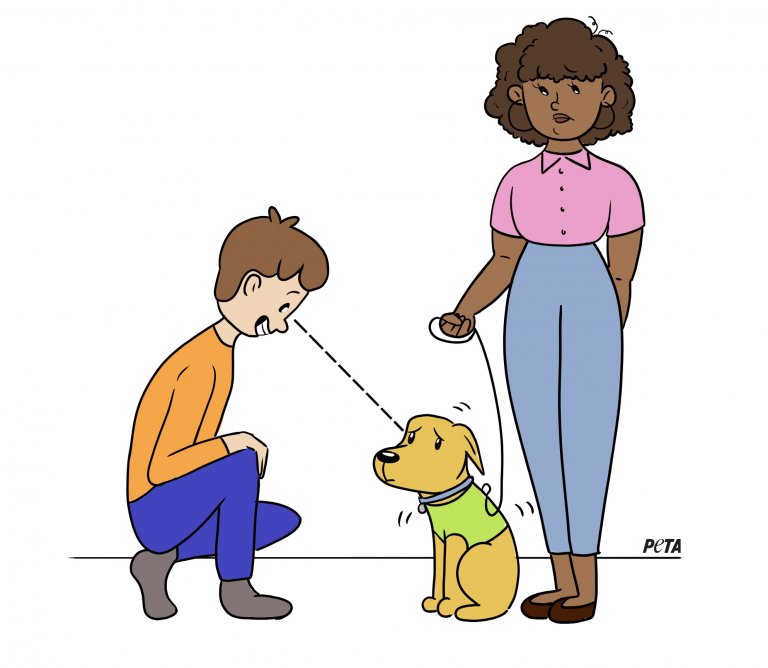 How to Greet a Dog: 4 Do’s and 4 Don’ts (June 2022) | PETA