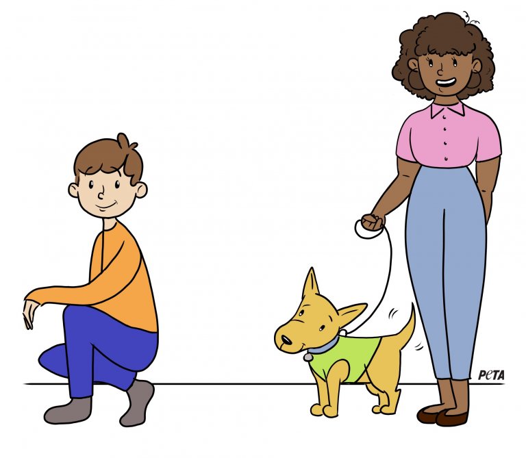 How to Greet a Dog: 4 Do’s and 4 Don’ts (June 2022) | PETA