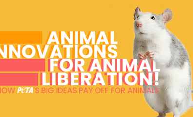 9 Animals Driven Insane | PETA