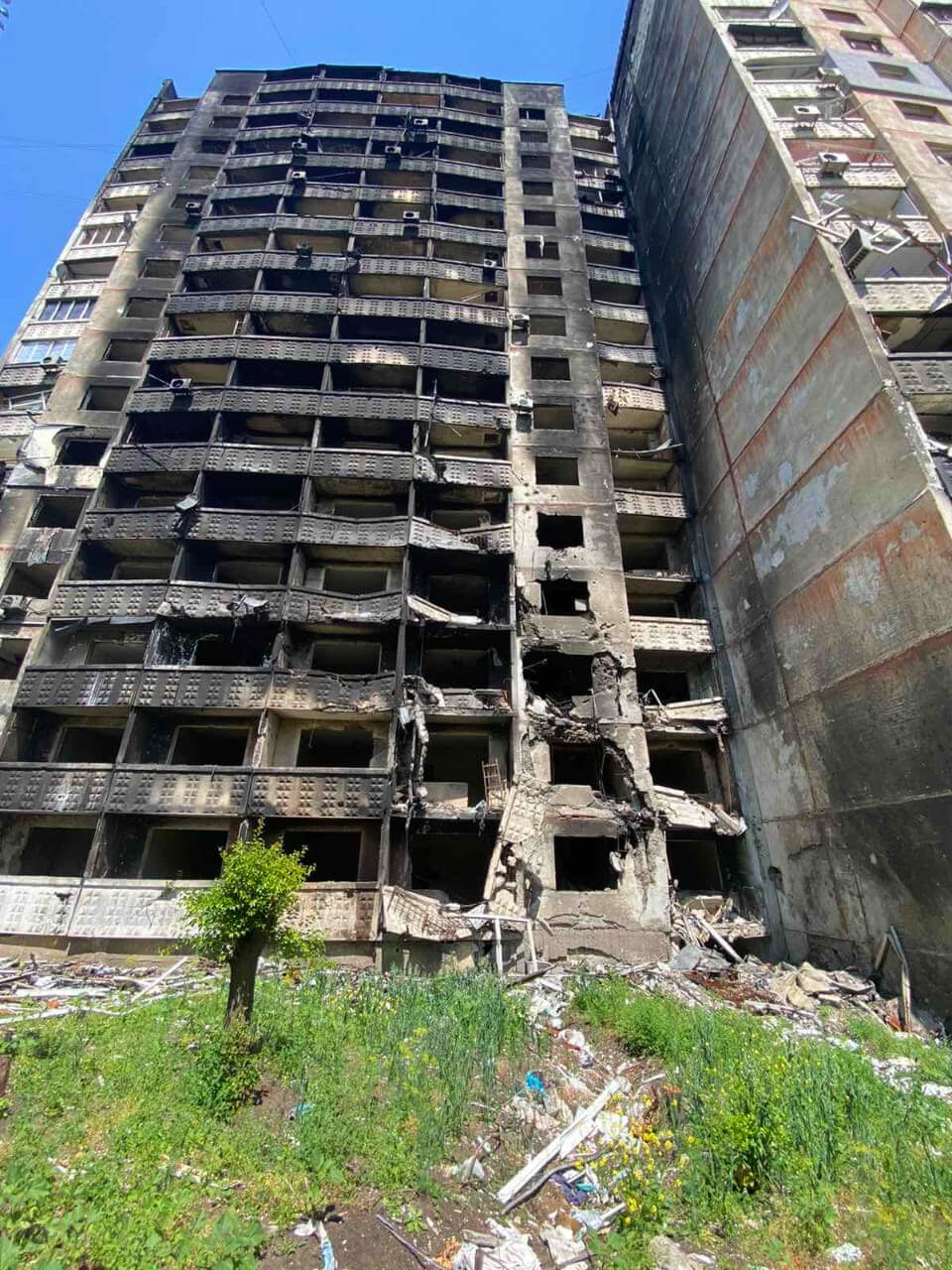 Ukraine Updates | PETA's Global Compassion Fund