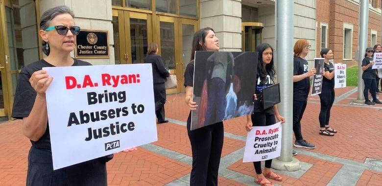 People for the Ethical Treatment of Animals (PETA)