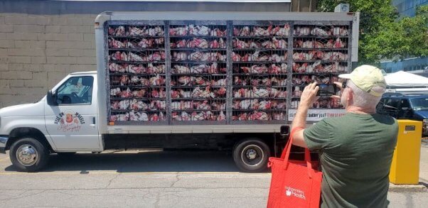 Photos: PETA’s Chicken Truck Is 'Hell on Wheels' | Blog