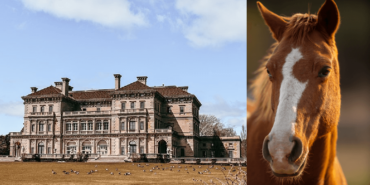 Animals in Entertainment page 1 - PETA