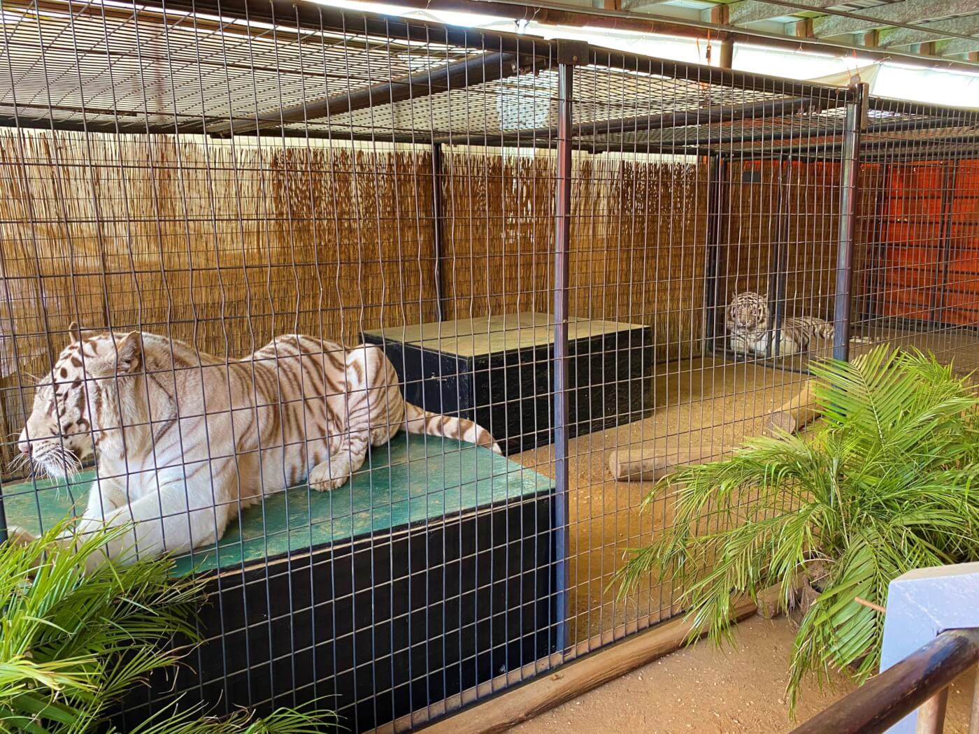 Action Alerts | Actions | PETA.org