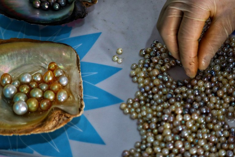 Are Pearls Vegan? Here’s What You Should Know | PETA
