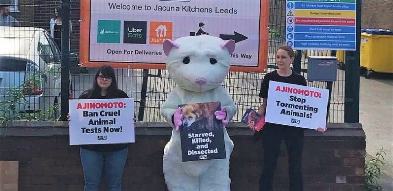 Ajinomoto Conducts Deadly and Worthless Tests on Animals | PETA