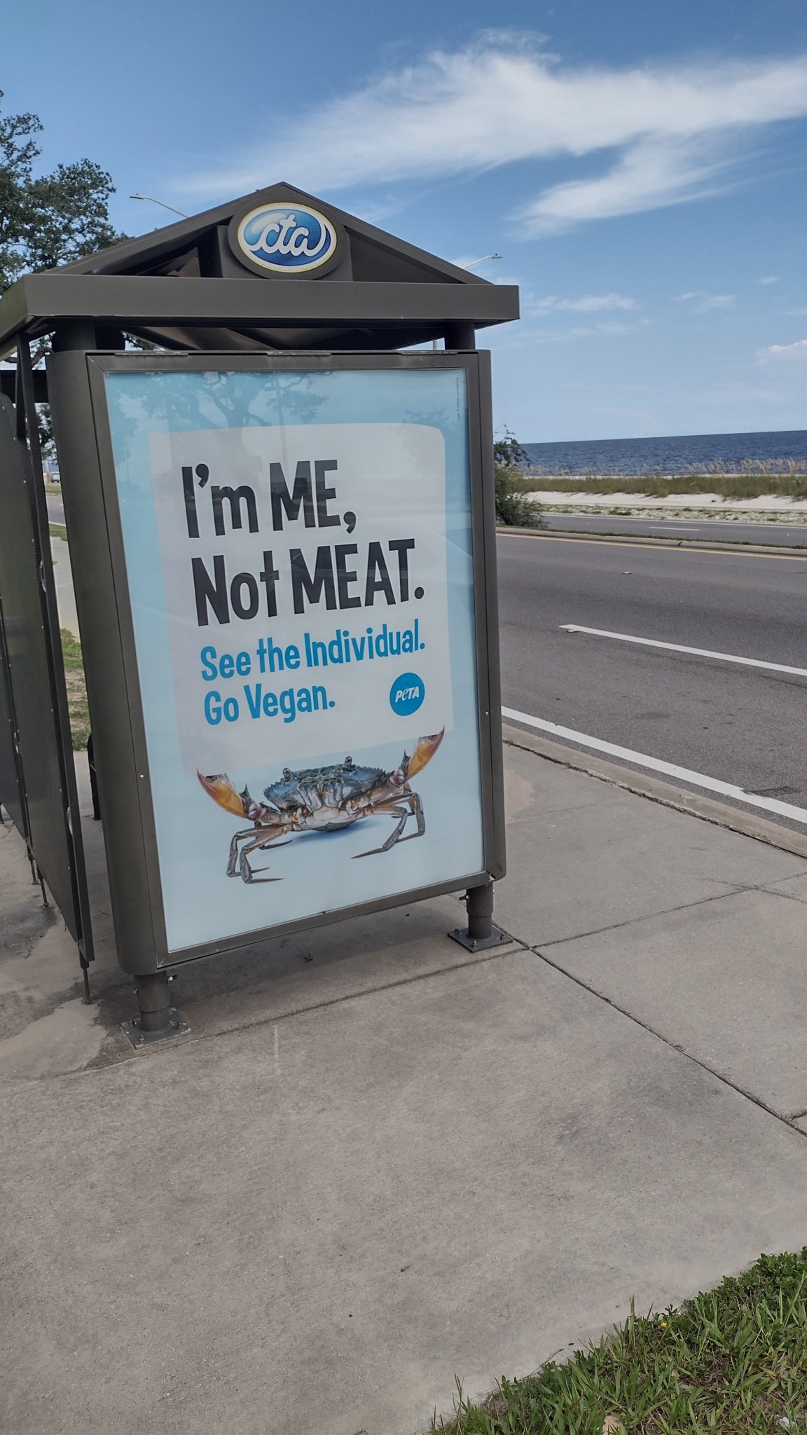 Me Not Meat Crab Ads in Biloxi | PETA