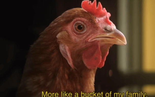 Focus Group 0:60 | PETA