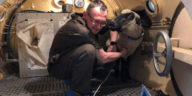 Cruelty to Animals in Laboratories | PETA