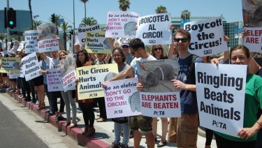 PETA’s Best Protest Photos of 2023 | Photos